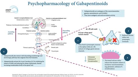 Psychopharmacology Of Pregabalin And Gabapentin