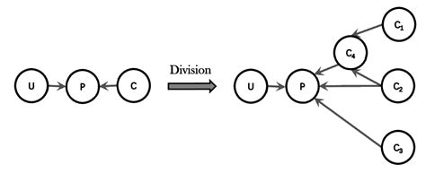 Causal Structure Representation Learning Of Confounders In Latent Space For Recommendation Ai