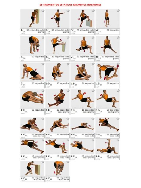 Estiramientos Estáticos Para Miembros Inferiores Pdf Pie Rodilla