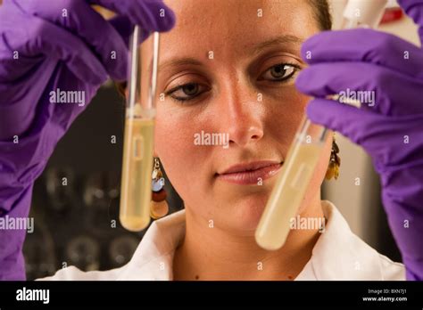 Woman With An Experiment In A Food Lab Stock Photo Alamy
