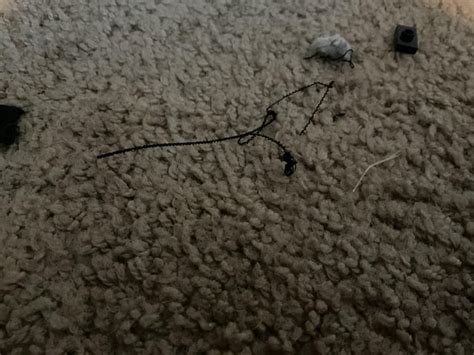 ender 3 printing blobs strings and swirls r ender3
