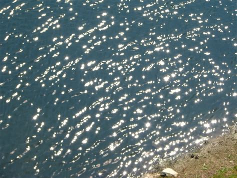 Img 7782 Justin Koby Flickr