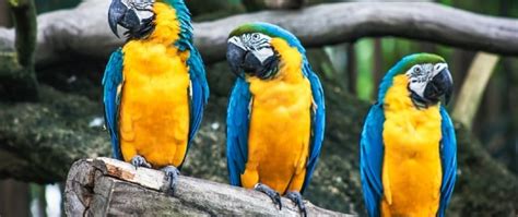 Code Smell 01 Anemic Models Dev Community