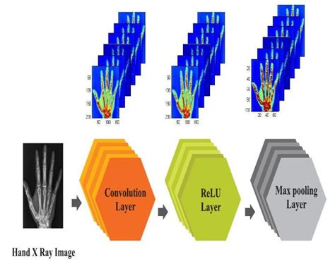 Architecture Of CNN Single Layer And Output Images For Selected Kernel Download Scientific
