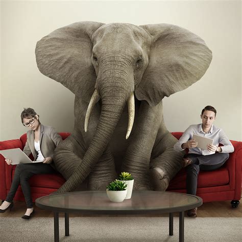 Elephant In The Room On Behance