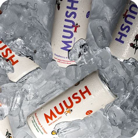 Lions Mane Soda And Elixirs Functional Mushroom Drinks Uk Muush