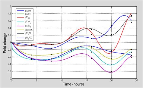 Simulated System Dynamics Of The Ddr Pathway That Are Most Consistent