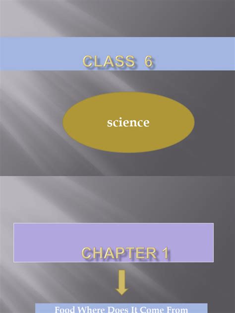 Class 6 1 General Science | PDF | Foods | Milk