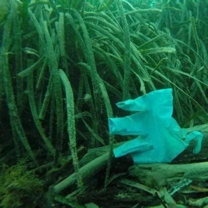 Test Trash Classification Dataset And Pre Trained Model By Test Merge