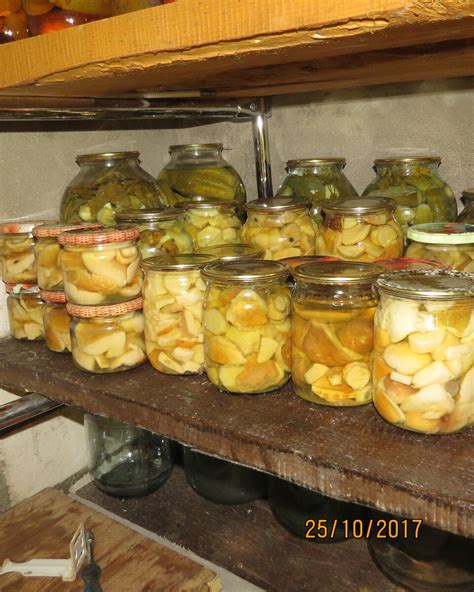 Перестала мариновать грибы делаю только квашеные это более полезный и вкусный способ