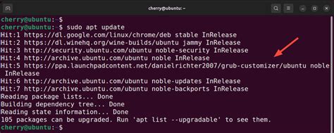 how to install grub customizer on ubuntu 24 04 step by step guide