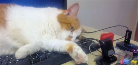 Node Red Watson Visual Recognition Details