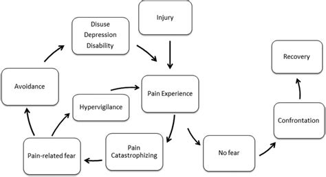 The Fear Avoidance Model According To Vlaeyen And Linton 12
