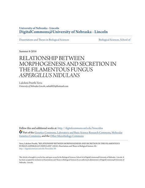 pdf relationship between morphogenesis and secretion in …€¦ · fungi