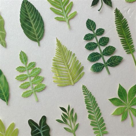 자연이 만들어준 색 일러스트 일러스트레이션 드로잉 아트 수채화 식물 자연 나뭇잎 보타니컬 봄