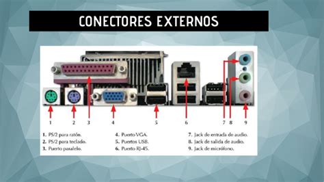 Conectores Externos Genially