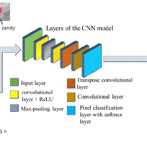 Main Procedures To Design CNN Model For LV Segmentation Download Scientific Diagram