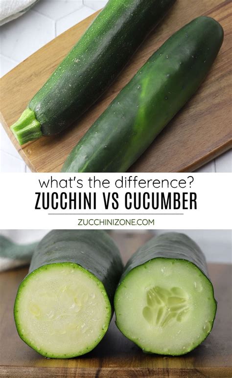 Zucchini Vs Cucumber What S The Difference Zucchini Zone