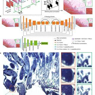Pdf Large Depth Of Field Ultra Compact Microscope By Progressive Optimization And Deep Learning