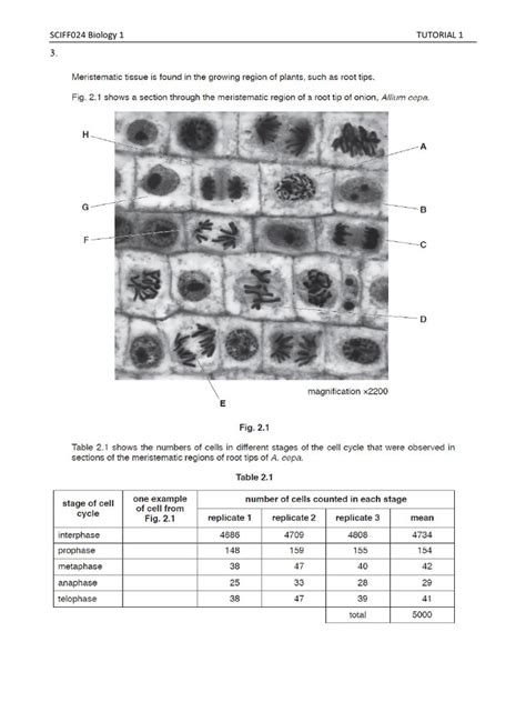 Tutorial 4 Pdf