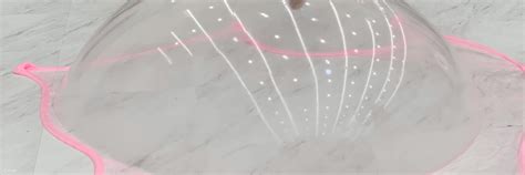 Slime Theme Park Ticket In Incheon Klook