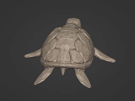Low Poly Sea Turtle 3d Turbosquid 1952529