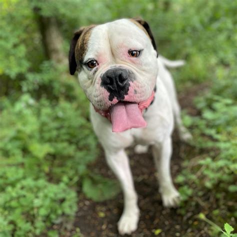 Take The Lead My Biggest Most Beautiful Boy Rocco 💙