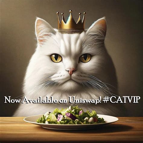 Unleash The Feline Frenzy Catvip Now Available For Purchase R Confusedcatvip