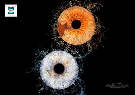 Ирисова фотография • Ирисова фотография гр Стара Загора