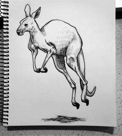 Cross Hatching Behance Cross Hatching Behance