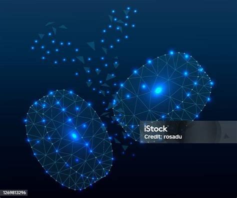 약물 정제 다각형 블루 1 대학교에 대한 스톡 벡터 아트 및 기타 이미지 대학교 알약 약품 캡슐 Istock