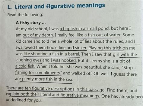 Solved L ﻿literal And Figurative Meanings Read The