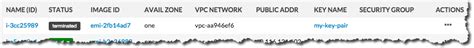 Terminate An Instance With The Management Console Eucastack