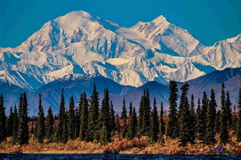 Denali National Park Travel Guide 2025