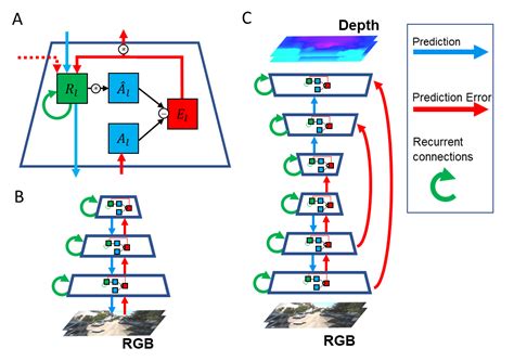 learning invariant world state representations with predictive coding