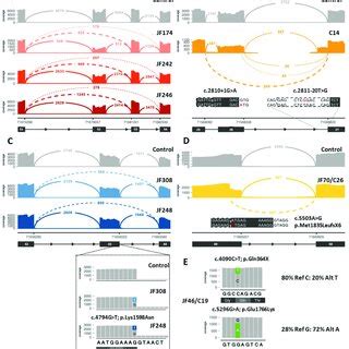 Examples Of Data That Can Be Obtained From RNA Seq Analysis To Aid In Download Scientific