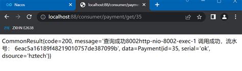 Nacos 2 2 0 实战 Hztech 博客园