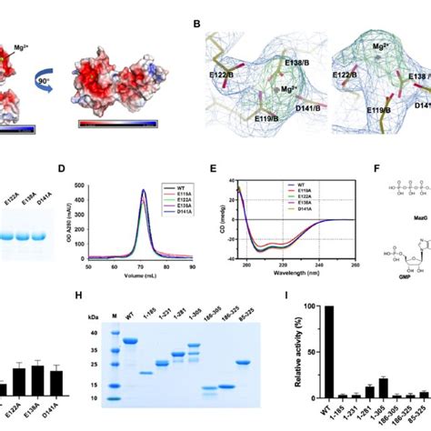 The Magnesium Binding Sites And Enzymatic Characterizations Of Download Scientific Diagram