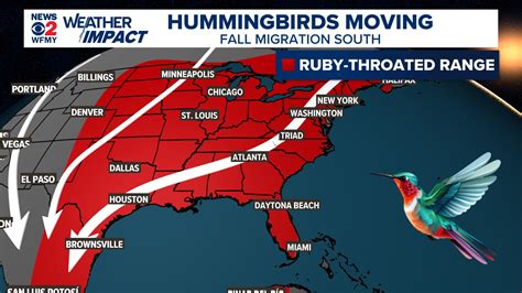 Ruby Throated Hummingbirds Migrate Through North Carolina