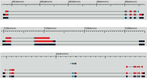 Detecting Alternatively Spliced Transcript Isoforms From Single Molecule Long Read Sequences