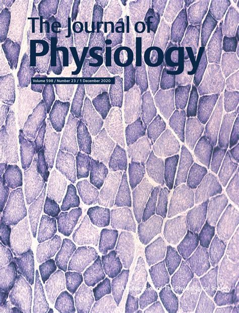 Sex Differences In The Effect Of Acute Fasting On Excitatory And