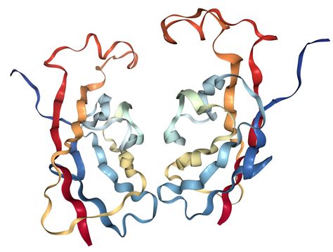 Vapb General Information Sino Biological