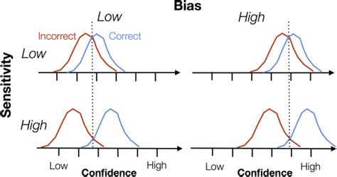 Schematic Showing The Theoretical Dissociation Between Metacognitive Download Scientific