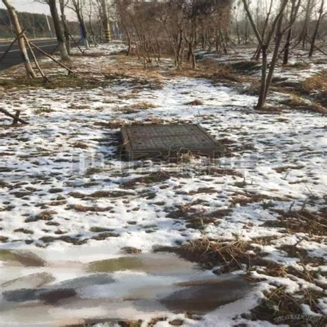 Manhole Detection Object Detection Dataset By Manhole