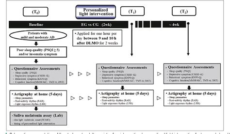 Figure 1 From Effect Of Personalized Blue Enriched White Light Intervention On Restactivity And