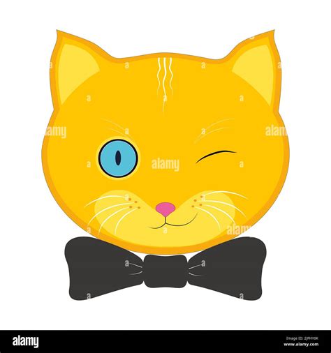 Cat And Woman Emoji