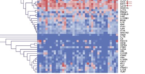 Human Angioimmunoblastic T Cell Lymphoma Aitl Cases Exhibit Enhanced