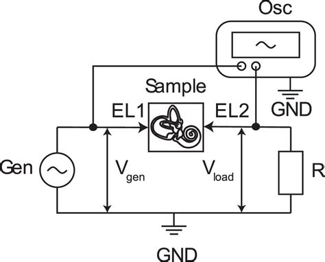 schematic picture of the impedance measurement circuit gen—voltage
