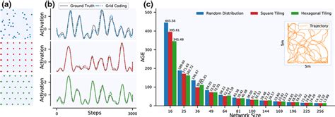grid coding performance analysis based on different phase distributions
