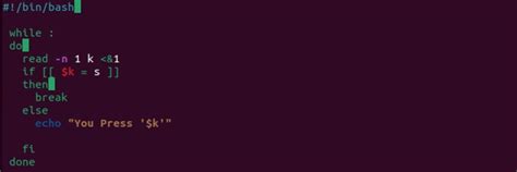 Ejemplo De Bucle De Script Bash Muylinux